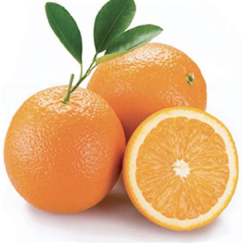 Jaffa Oranges Fresh Fruit Turkey Export Company From Turkey