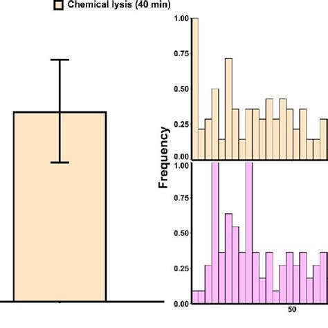 Chemically And Naturally Lysed Cells Showed A Similar Cell To Cell