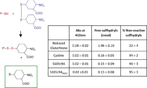 Figure 11 From Characterization Of The Bacteriophage Lambda Holin And