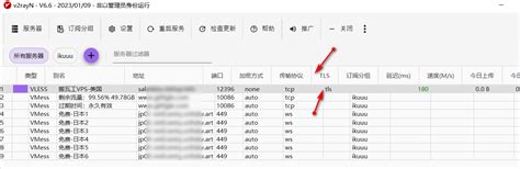 Bug 每次开机自动启动后的一些问题希望修复，辛苦了 · Issue 3052 · 2dustv2rayn · Github