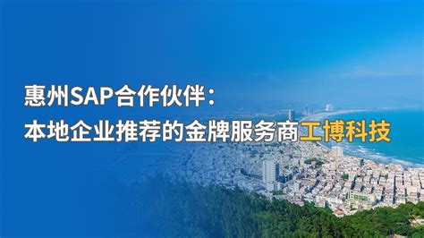 惠州sap实施公司推荐：制造业sap Erp实施找哪家？ 工博谈sap 博客园