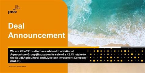 Ramzi El Saadi Posted On Linkedin