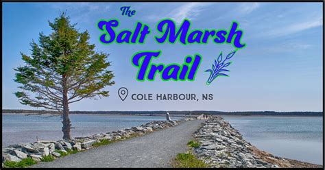 Salt Marsh Map