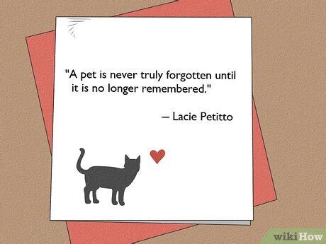 70 Sympathy Messages For The Loss Of A Pet