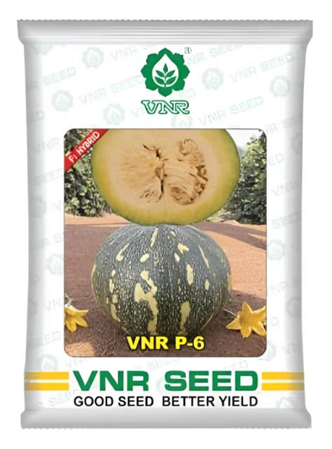 Vnr P 6 Pumpkin Hybrid Seeds Cultree India