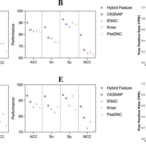 performance comparison of different feature descriptors for full
