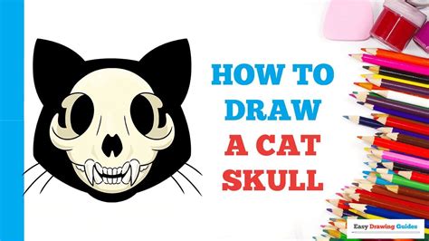 How To Draw A Cat Skull Cat Skull Easy Drawings Drawings