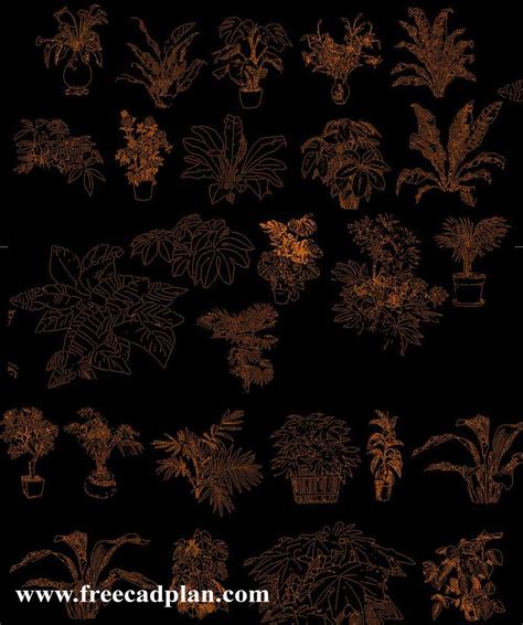 Bonsai Tree Dwg Cad Block In Autocad Artofit