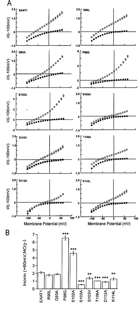 Electrophysiological Properties Of Wild Type And Mutant Eaat1 Download Scientific Diagram