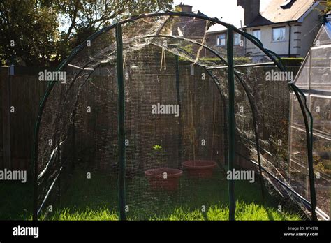 A MESH STRUCTURE IN A GARDEN TO PROTECT FRUIT TREES AND OTHER PLANTS FROM BIRDS KIRKBY IN