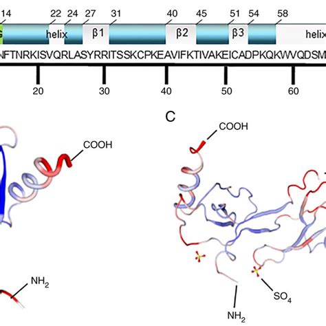 The Potential Mechanisms That Regulate MCP 1 Expression MCP 1 Download Scientific Diagram