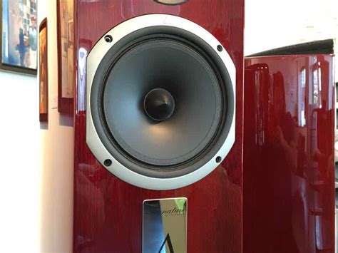 Triangle Signature Delta Floorstanding Loudspeaker Full Range Audiogon