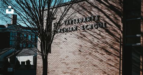 갈색 벽돌 벽 옆에 벌거 벗은 나무 사진 Unsplash의 무료 프로비던스 이미지