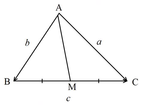 Vector Basics Revision Quiz Portal