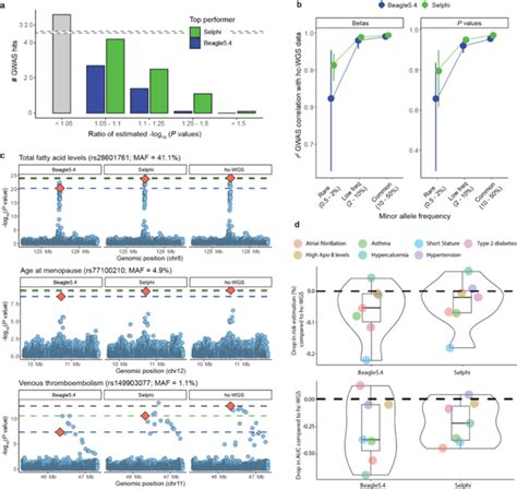 Blog Revolutionizing Genomics Accurate Genotype Imputation For Rare Variants
