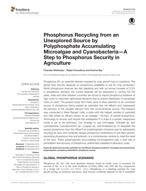 Pdf Phosphorus Recycling From An Unexplored Source By Polyphosphate