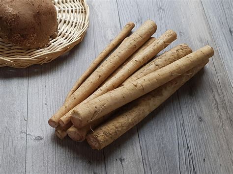 Homemade Burdock Tinctureburdock Has Been Around For A While Since Most Of The Plant Is Edible