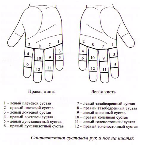 Су-Джок терапия для суставов 0 | Джоки, Терапия, Биологически активные ...