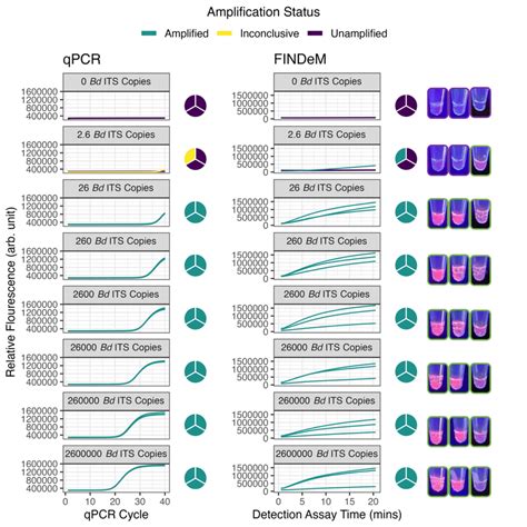 Findem Offers A Comparable Limit Of Dna Detection To Qpcr And Can