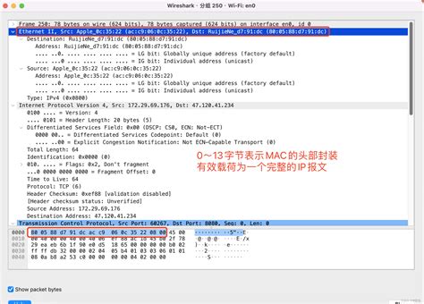 基于wireshark的arp协议分析和ip报文、icmp报文的分析｜网络数据抓包｜课程设计｜traceroute｜ping