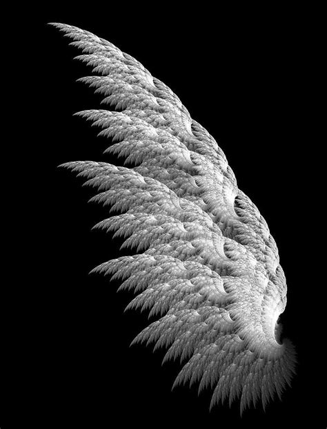 Beautiful Angel Wings Wallpaper Hd