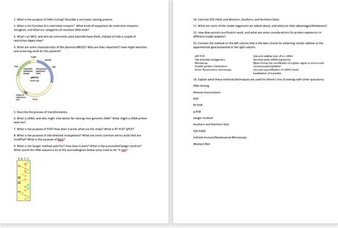 Solved 1 What Is The Purpose Of DNA Cloning Describe A Chegg Com