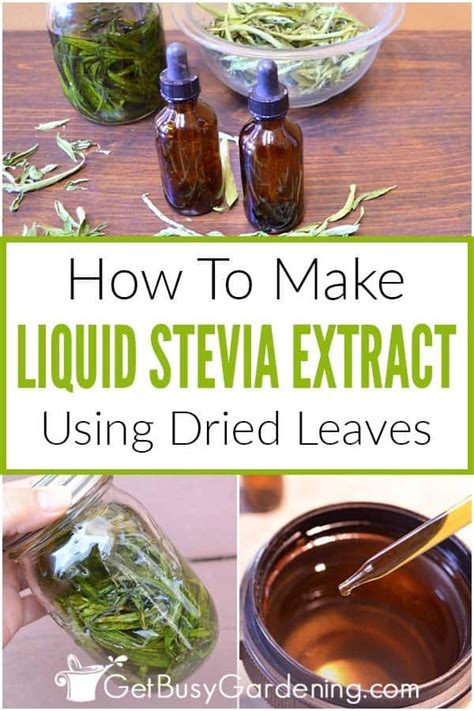 Stevia Extract Artofit