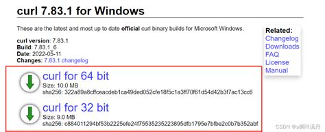 windows curl如何启用2及curl工具安装步骤 csdn博客