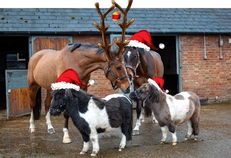 Happy Christmas Everyone Almost There Now All The Best For 2024 See