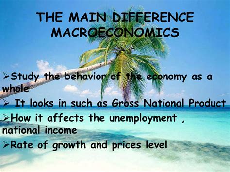 Difference Between Micro And Macroeconomics Ppt