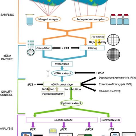 Pdf Prospects And Challenges Of Environmental Dna Edna Monitoring