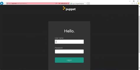 How To Install Puppet Enterprise On Red Hat Linux Petri IT Knowledgebase