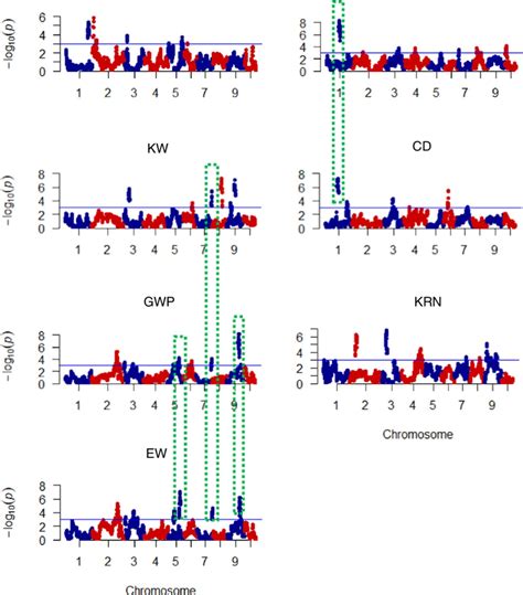 plots of test statistic −log10 p against genome location for seven