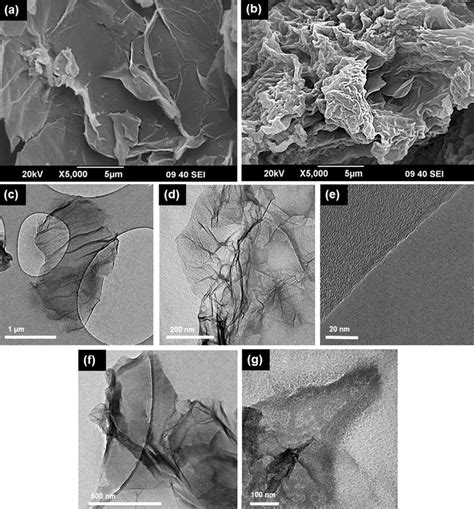 Sem Micrograph Of A Go And B Go Aeapts Tem Micrographs Of Ce Go