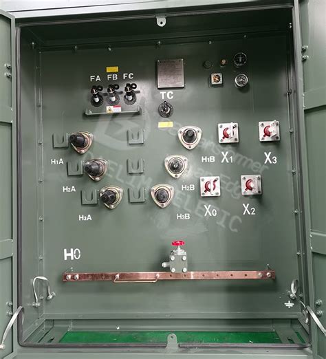 3000 Kva Pad Mounted Transformer Daelim Transformer