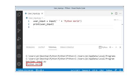 Best Quick Introduction To Python User Input Function Codingstreets