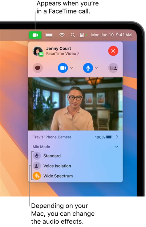 Change Audio Options For FaceTime Calls On Mac Apple Support