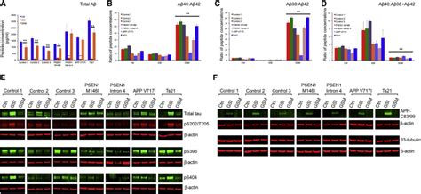 Manipulation Of γ Secretase Activity Alters Aβ Peptide Production Tau Download Scientific