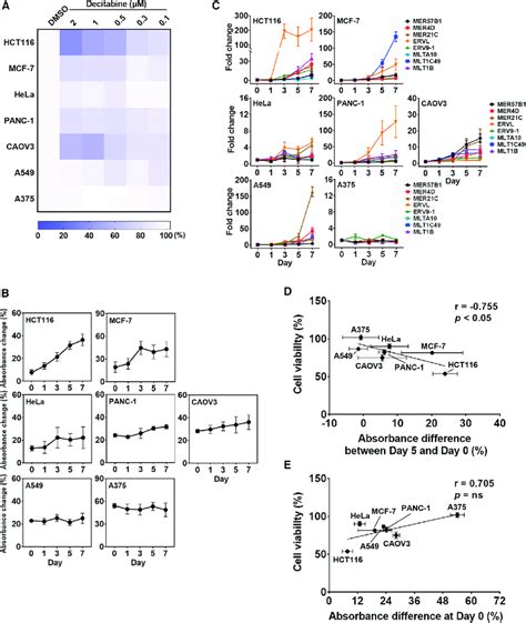 Analysis Of Dsrna Induction By Dac In Solid Tumor Cell Lines A
