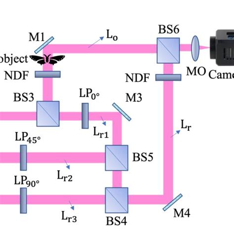 Schematic Diagram Of The Single Shot Off Axis Digital Holographic