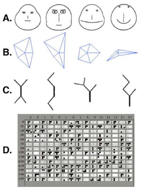 Four Common Glyphs A Chernoff Faces That Represent Multivariate Data Download Scientific