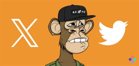 Elon Musks X Twitter Waves Goodbye To Pfp Nfts