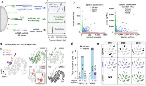 Multiplexed Detection Of Proteins Transcriptomes Clonotypes And Crispr Perturbations In Single