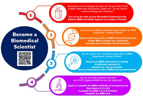 How To Become A Biomedical Scientist