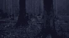 Dark Creepy Forest S Tenor