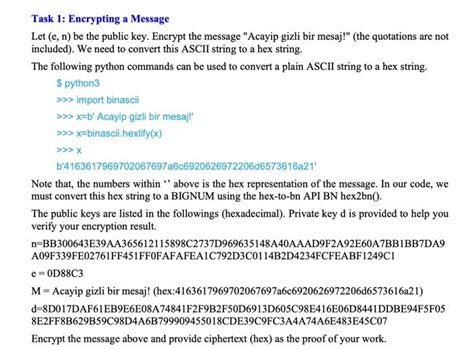 Solved Task Encrypting A Message Let E N Be The Public Chegg Com