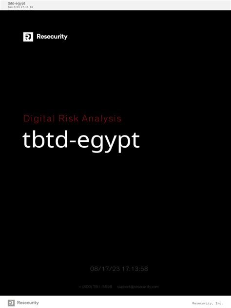 risk report of task id 41019 pdf security computer security