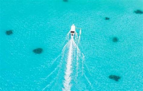Bora Bora Lagoon Tour And Snorkeling Experience Getyourguide
