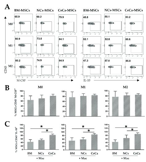Intracellular Expression Of M Csf And Il 10 In Ceca Mscs Cocultured Download Scientific Diagram