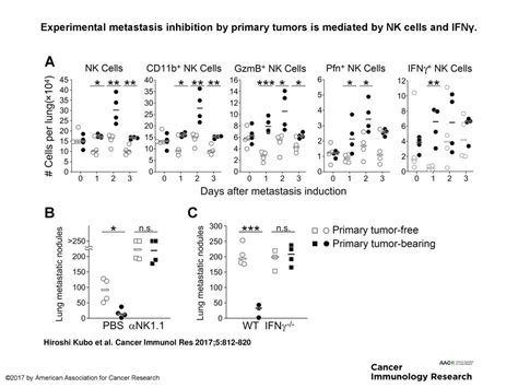 Experimental Metastasis Inhibition By Primary Tumors Is Mediated By Nk